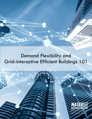 Publications | NASEO